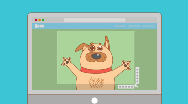 A Guide on How to Take High-Quality Screenshots | SendPulse