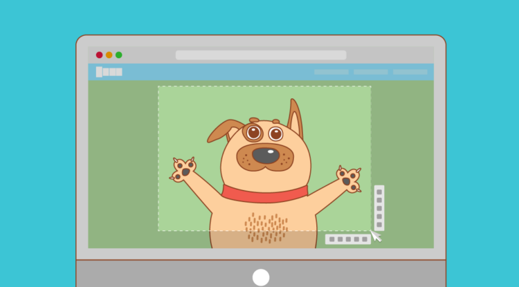 A Guide on How to Take High-Quality Screenshots | SendPulse