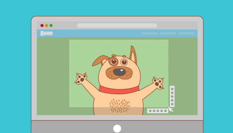 A Guide on How to Take High-Quality Screenshots | SendPulse