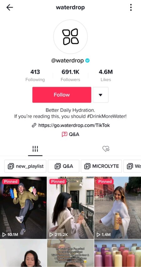 What to Put in Your TikTok Bio: Ideas and Tips for Businesses | SendPulse