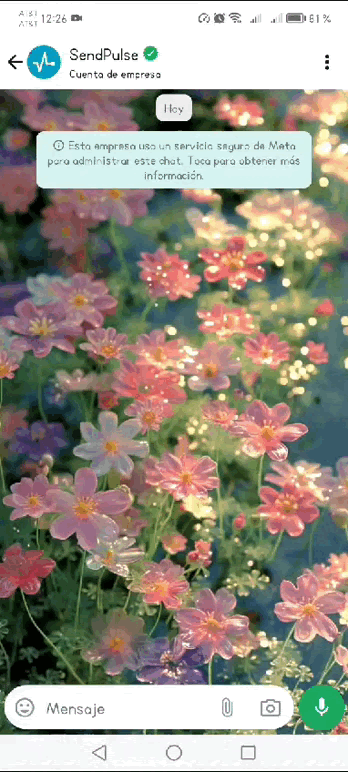 Descubre los mejores ejemplos de chatbots para WhatsApp | SendPulse