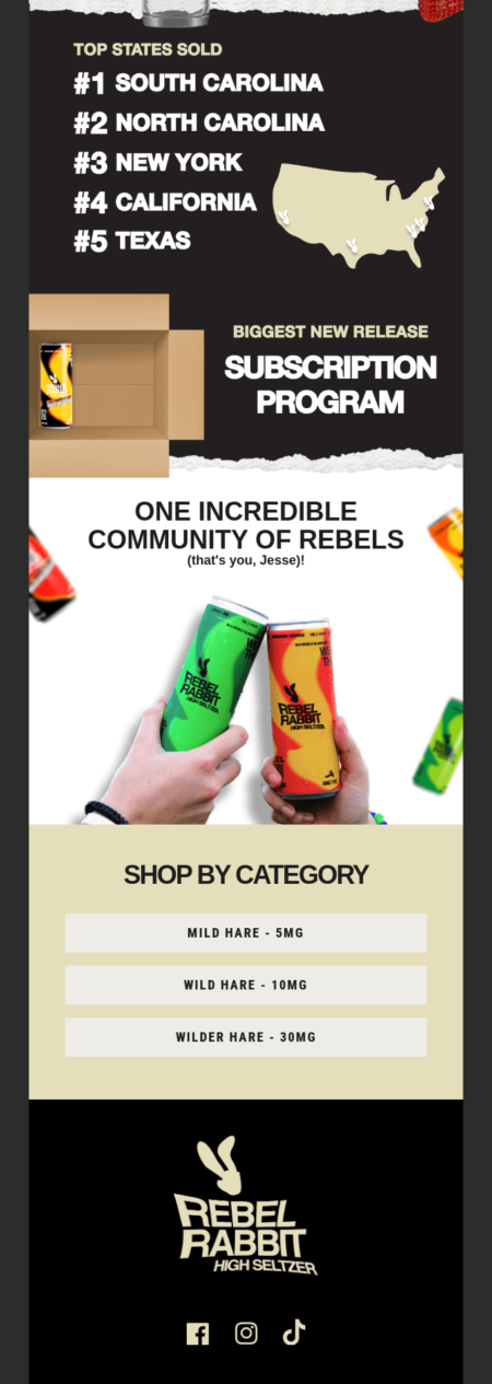 Year-in-Review Emails: The Art of Wrapping Things Up | SendPulse