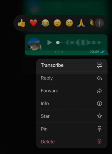 How to Transcribe WhatsApp Voice Messages: A Complete Guide | SendPulse