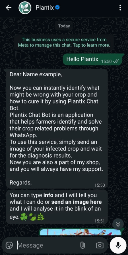 How to Set Up WhatsApp Welcome Messages [Examples & Templates] | SendPulse
